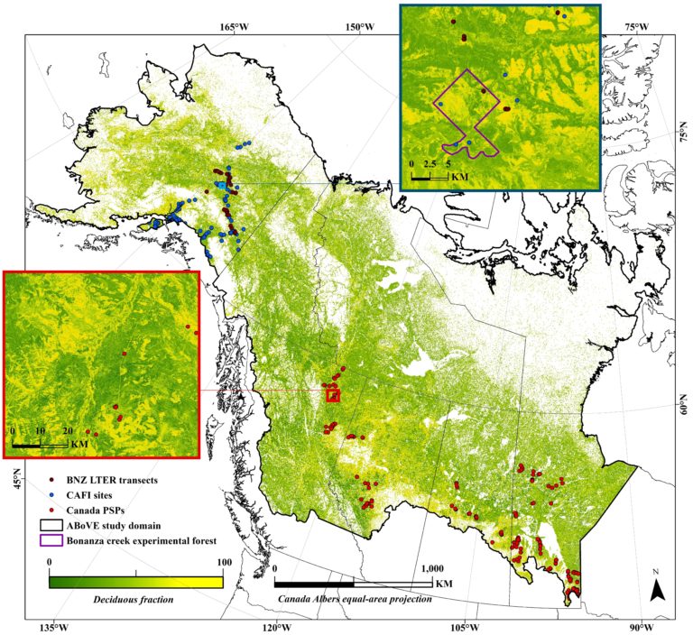 Boreal Vegetation Dynamics – Global Earth Observation & Dynamics of ...